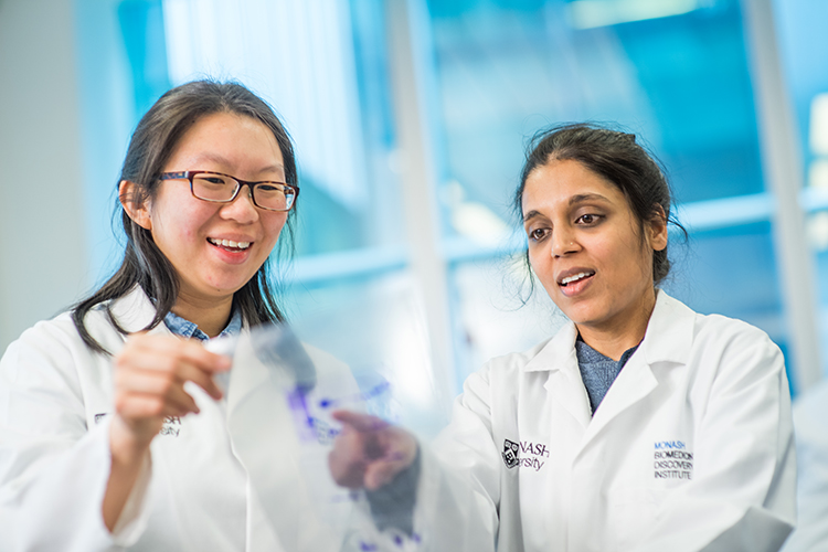 Start a Master of Biomedical and Health Science in February 2020